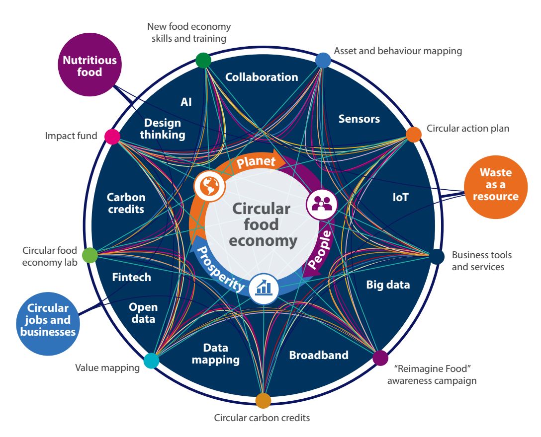 Guelph's circular food economy: an explainer